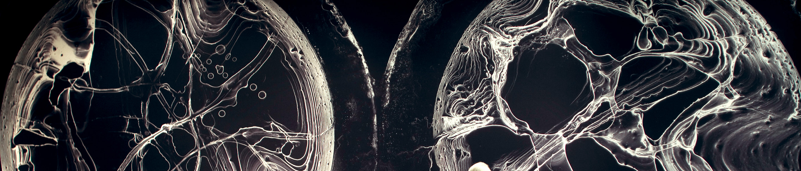 Sign language: The fabric sign and banner market is hotter than ever ...