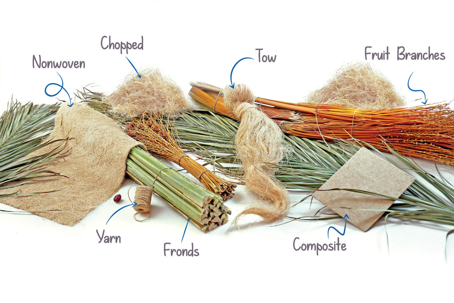 Egyptian consortium develops textile palm fibers and reinforcements ...