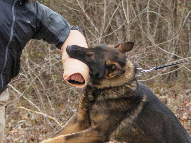 Realistic bite sleeve for K9 training - Specialty Fabrics Review