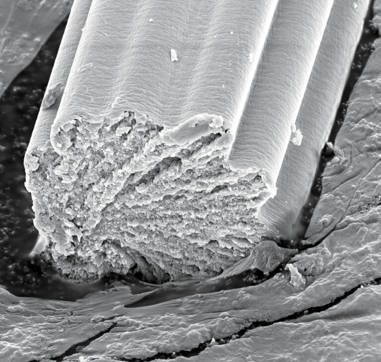 Synthetic spider silk created using mussels - Specialty Fabrics Review