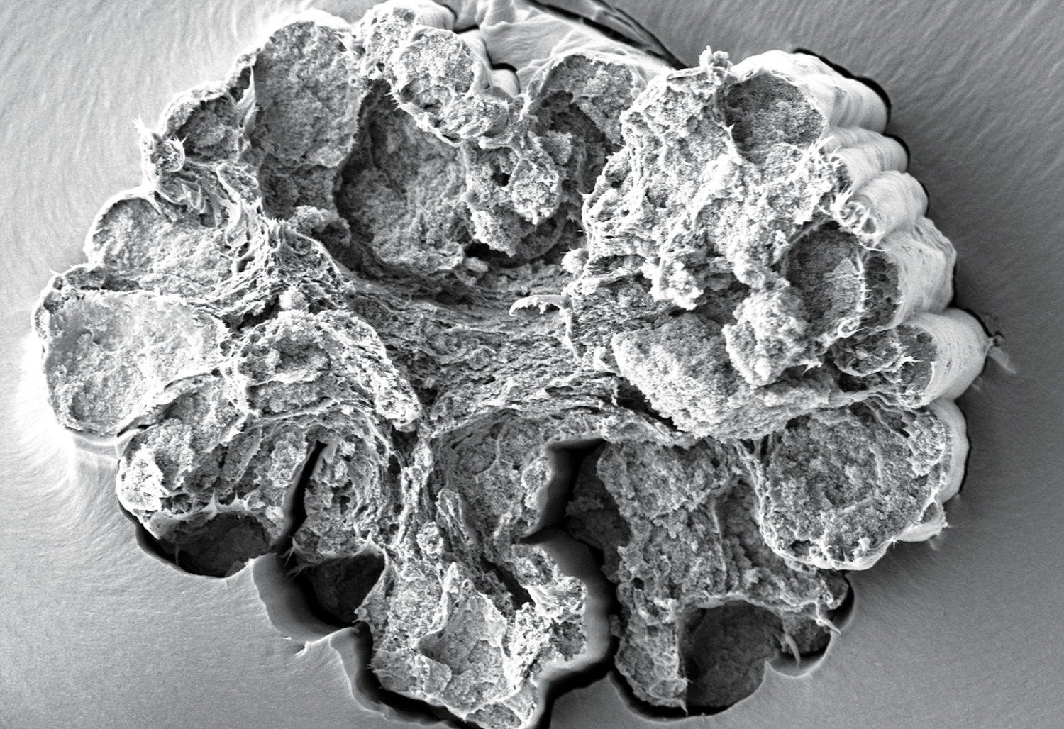 Aerogel-infused fibers could make thinner warm textiles - Specialty ...